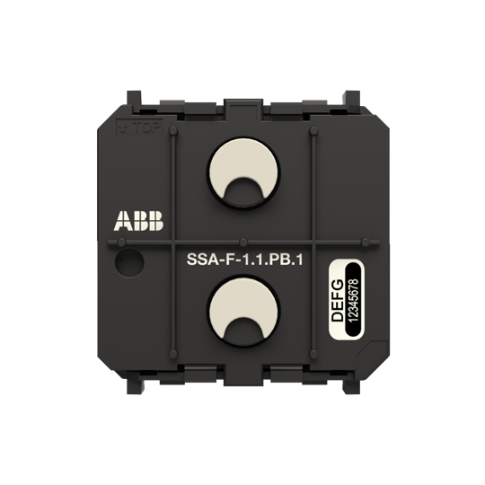 SSA-F-1.1.PB.1 | ABB