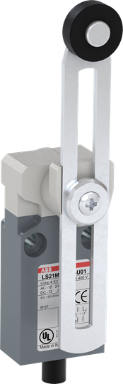 LS21M51B11-P01 | ABB