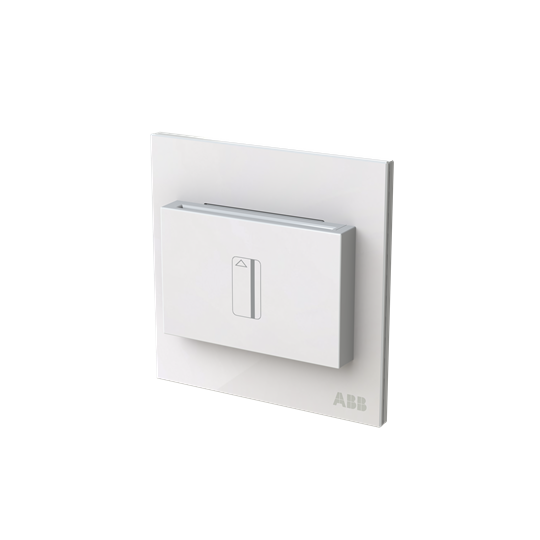 AM40244-WG | ABB