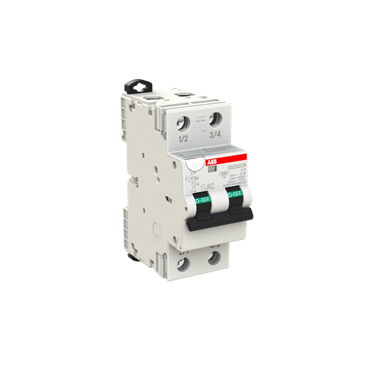 DS202CR C13 AC300 | ABB