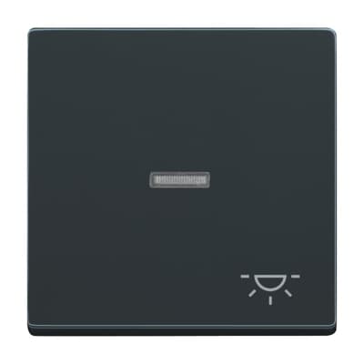 Busch-Jaeger – 1789 LI-81 Bedieningswip met symbool Symbool "licht ...