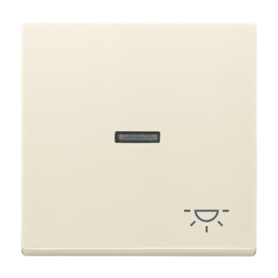 Busch-Jaeger – 1789 LI-82 Rocker with legend Symbol "light" with Small Transparent Calotte for ...