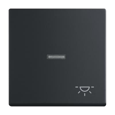 Busch-Jaeger – 1789 LI-885 Rocker with legend Symbol "light" for Switch ...