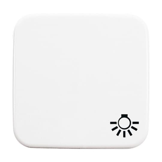 Busch-Jaeger – 2520 LI-214 Bedieningswip Symbol "light" Schakelaar / Drukknop Enkele wip alpine ...