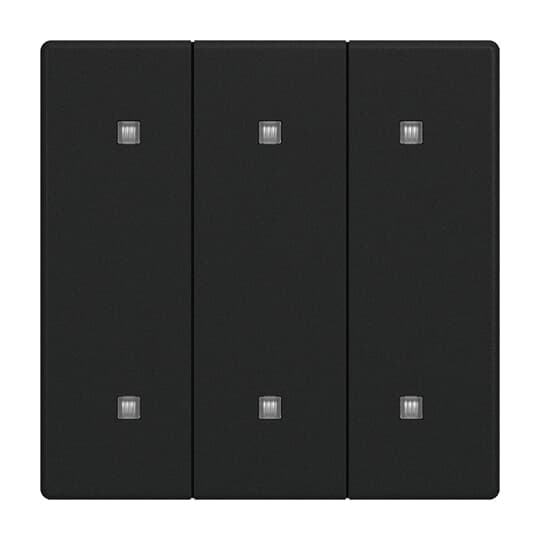 Busch-Jaeger – 2570-30-885 Rocker for Electronic push button Three-part ...