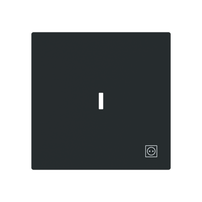 Busch-Jaeger – 1789 ST-45M Rocker with legend Symbol "Socket" with ...