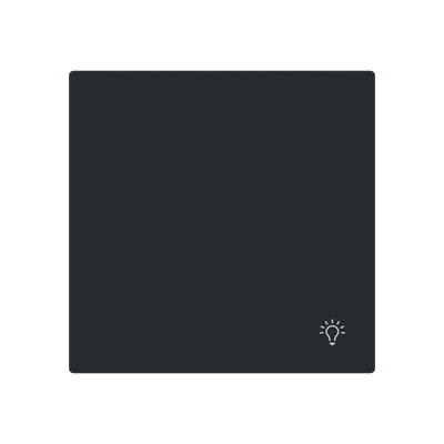 Busch-Jaeger – 2520 LI-45M Rocker with legend Symbol "light" for Switch/push button, Single ...