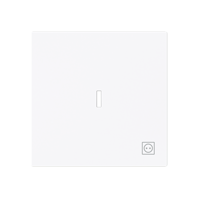 Busch-Jaeger – 1789 ST-44G Rocker with legend Symbol "Socket" with ...