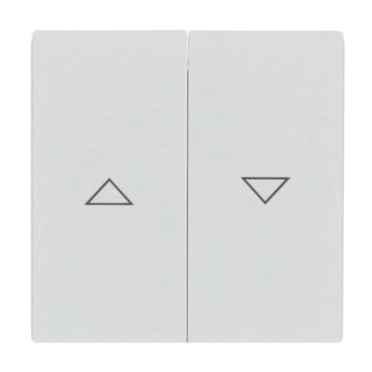 Busch-Jaeger – 1785 JA-84 Rocker with legend Symbol "arrows" for ...