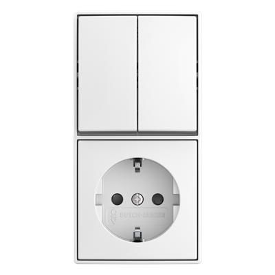 Busch-Jaeger – 2601/5/20 EAPBJ-524 Combination rocker switch with ...